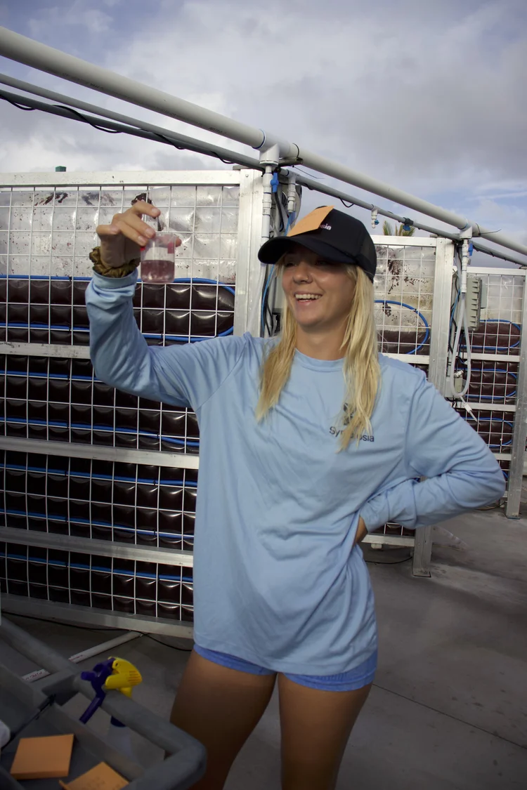 Symbrosia Team — Symbrosia