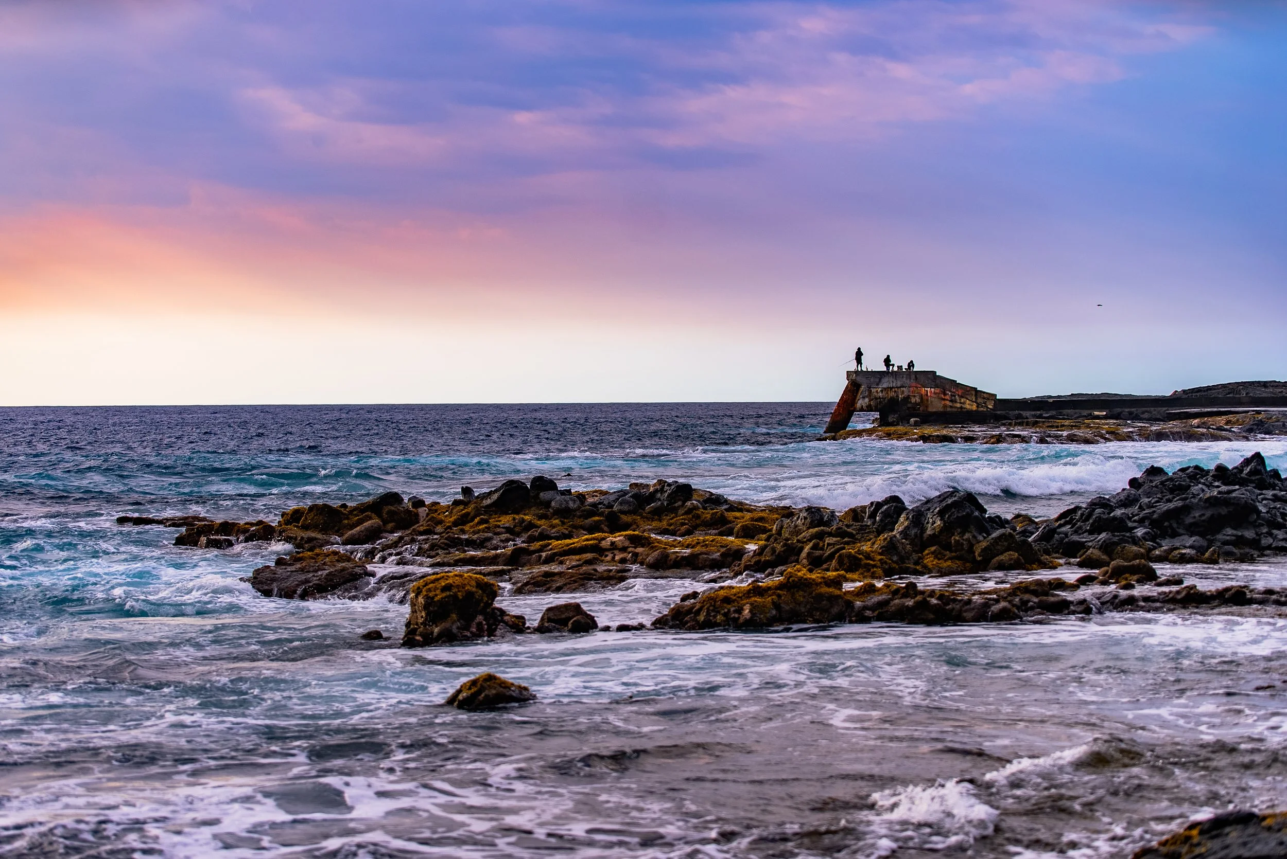 Careers — Symbrosia