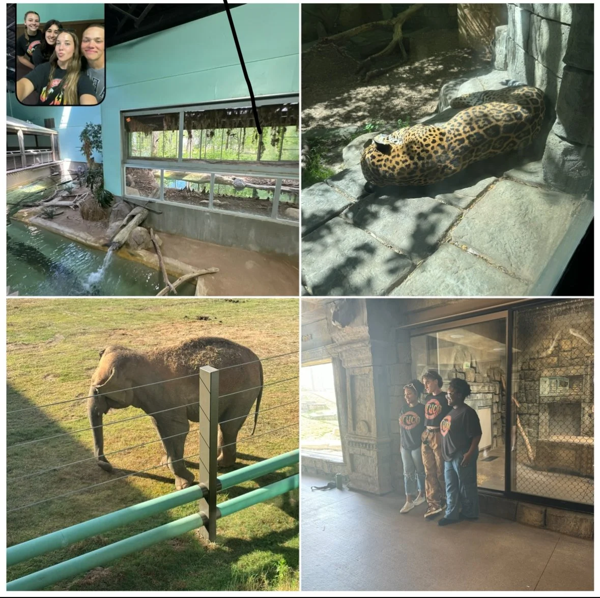 Owasso’s Stuco senior zoo trip — OwassoRampage