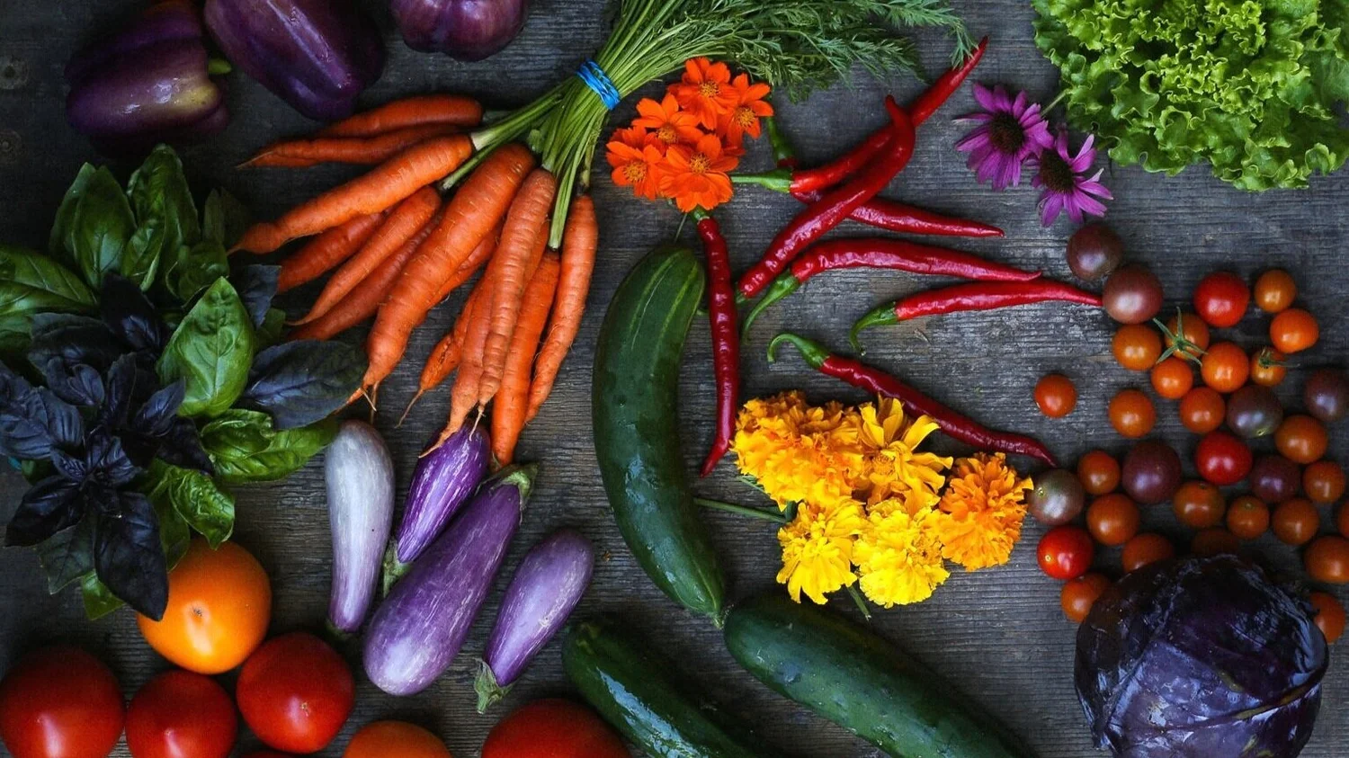 CSA Information and Sign Up Dayton, Ohio — Mission of Mary Cooperative