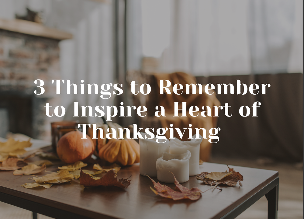 3 Things to Remember to Inspire a Heart of Thanksgiving — Leaving A Well