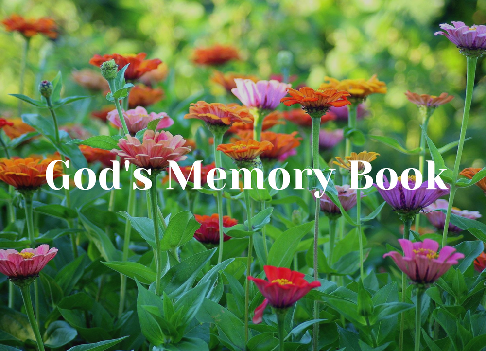 God's Memory Book — Leaving a Well