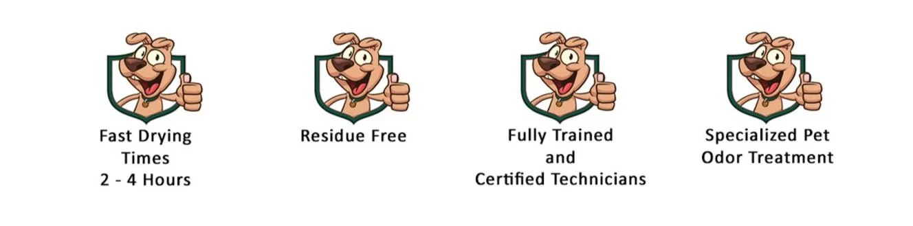 Guardian Carpet Care