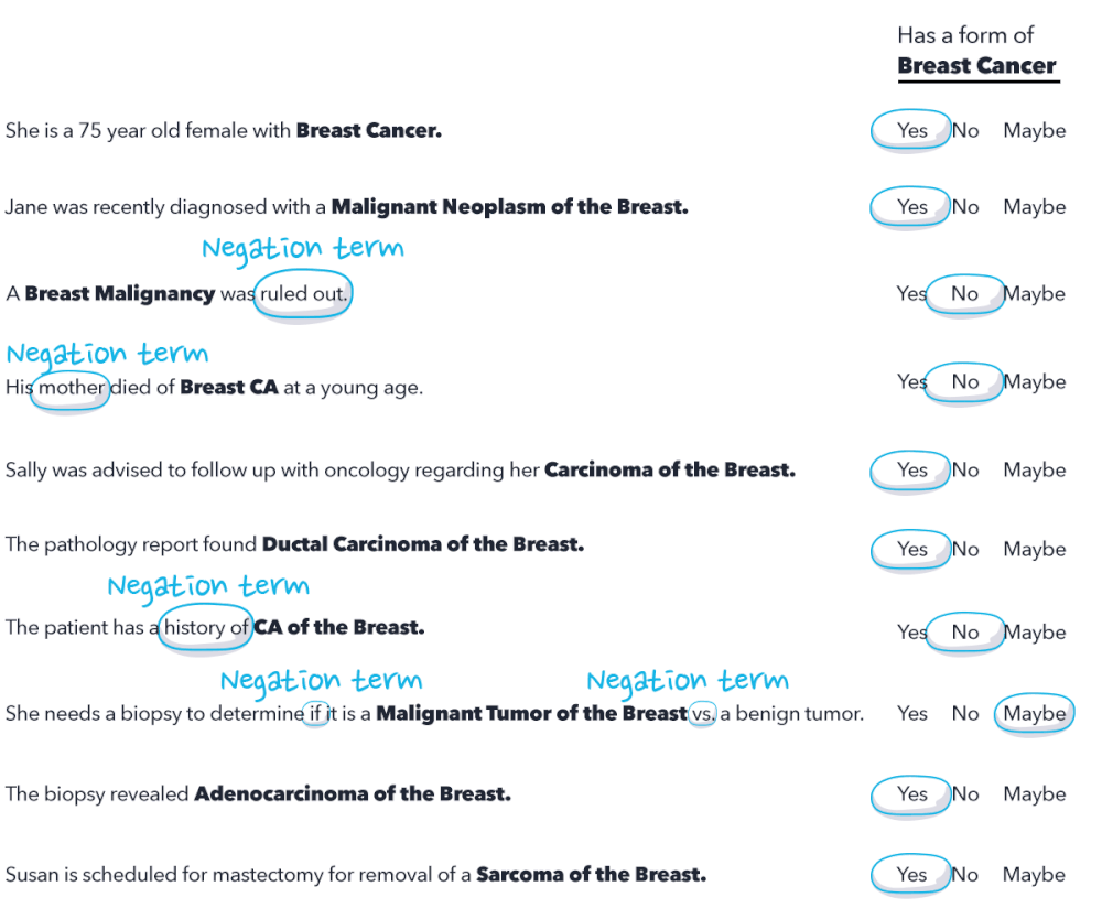 Natural Language Processing in Healthcare Medical Records
