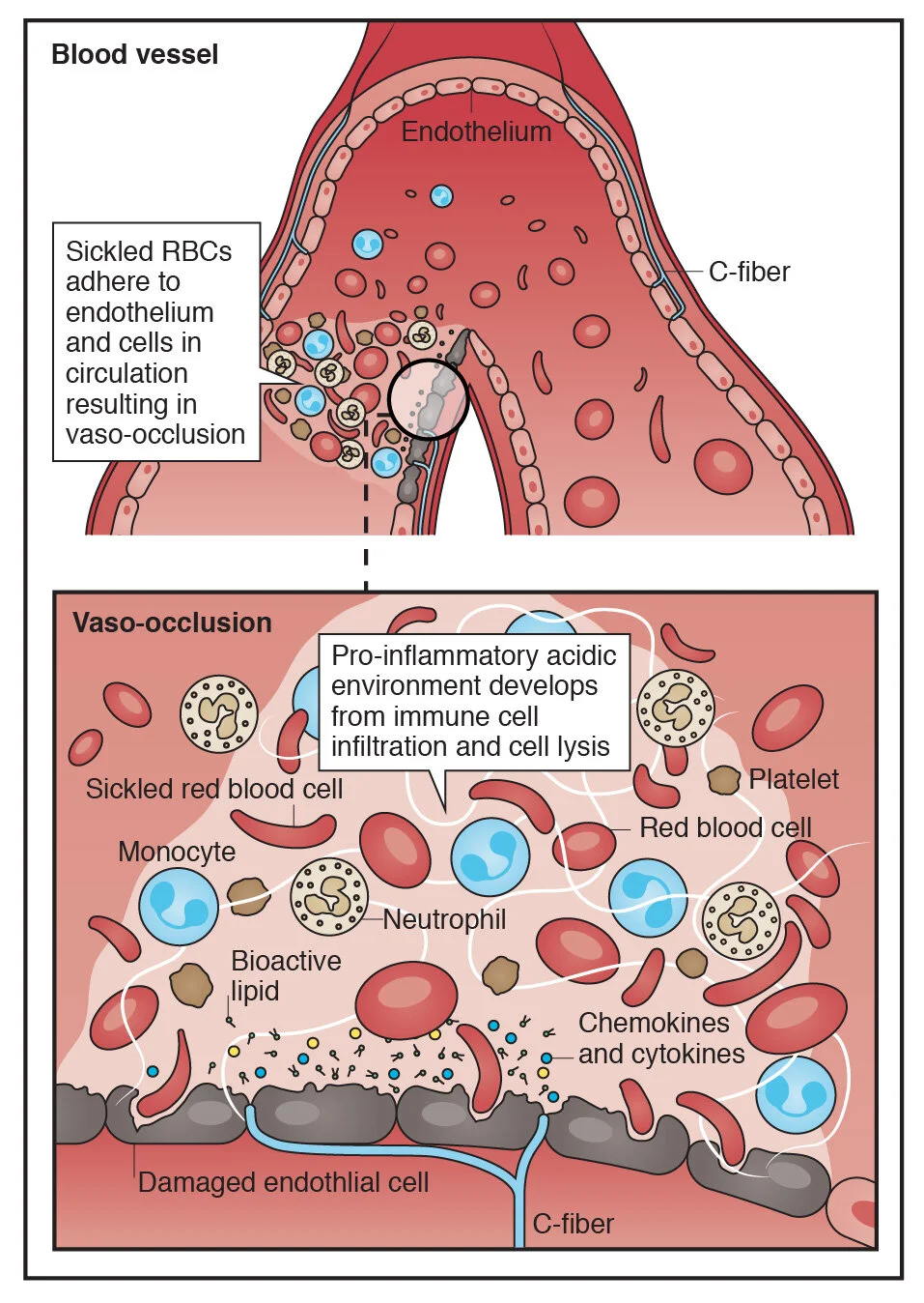Research — The Stucky Lab