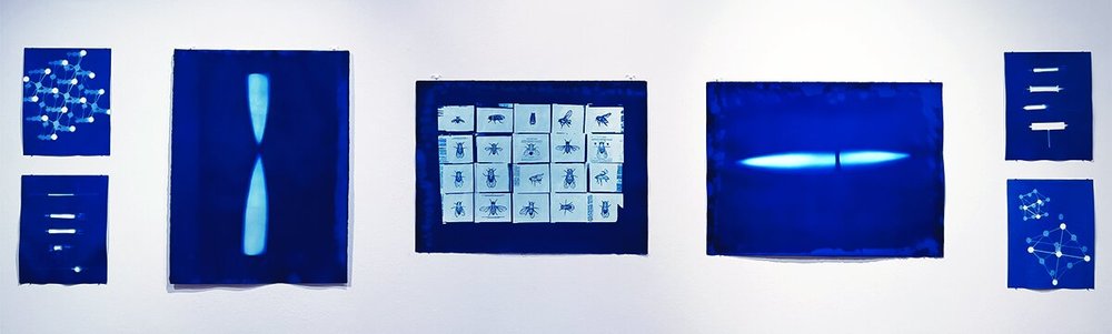 Dark Archive — DARIA: Denver Art Review, Inquiry & Analysis