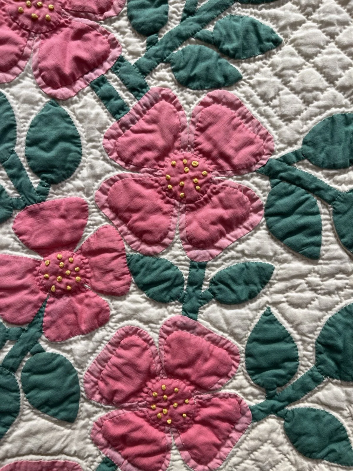 Nature, Flora, Fauna, Earth — DARIA: Denver Art Review, Inquiry & Analysis