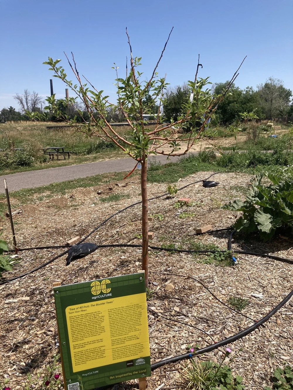 agriCULTURE: Art Inspired by the Land — DARIA: Denver Art Review ...