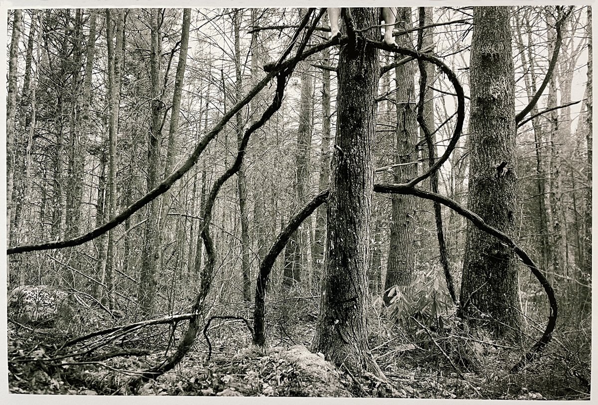 HOME: A Photographic Journey into Identity, Place, and Belonging ...