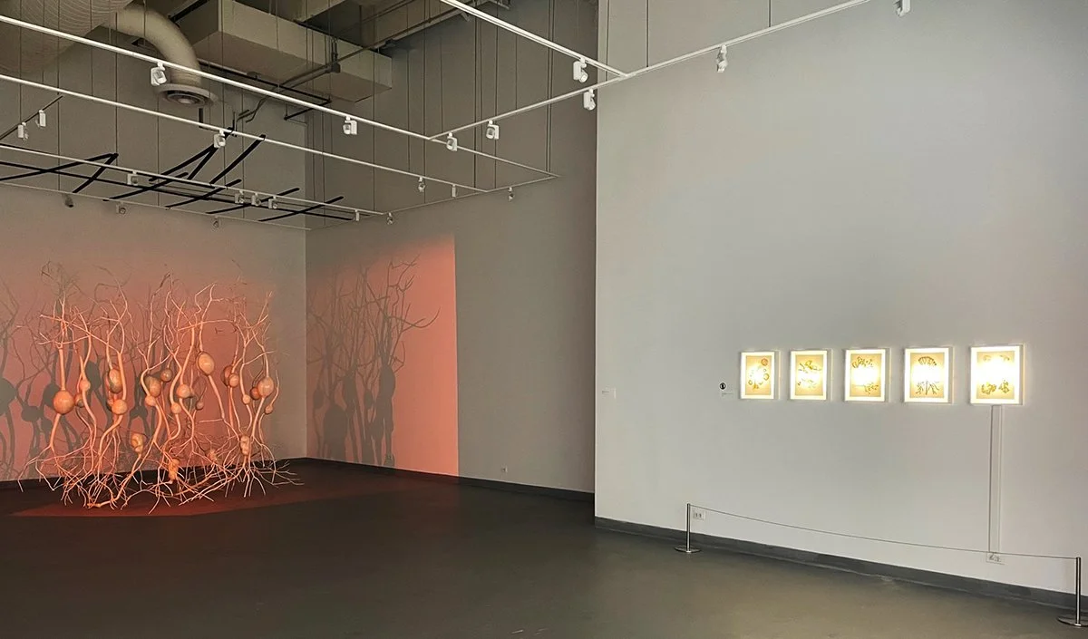 Neuron Forest — DARIA: Denver Art Review, Inquiry & Analysis