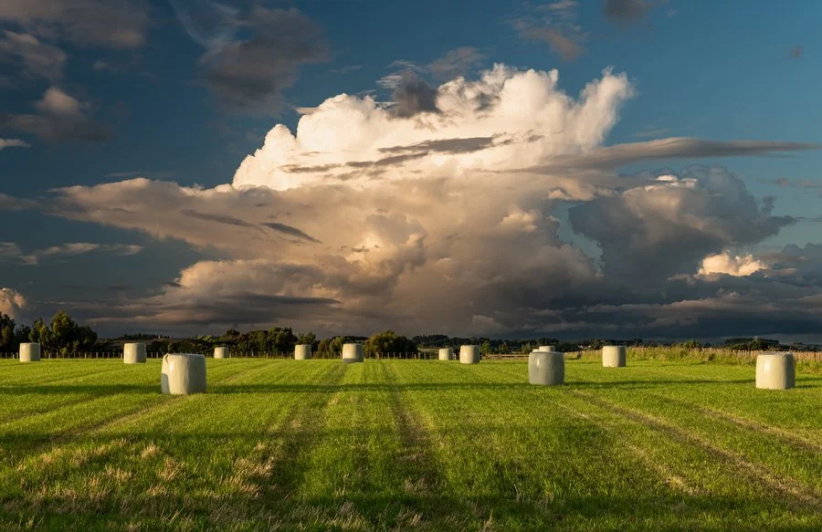 March 2024 — Manawatu Camera Club