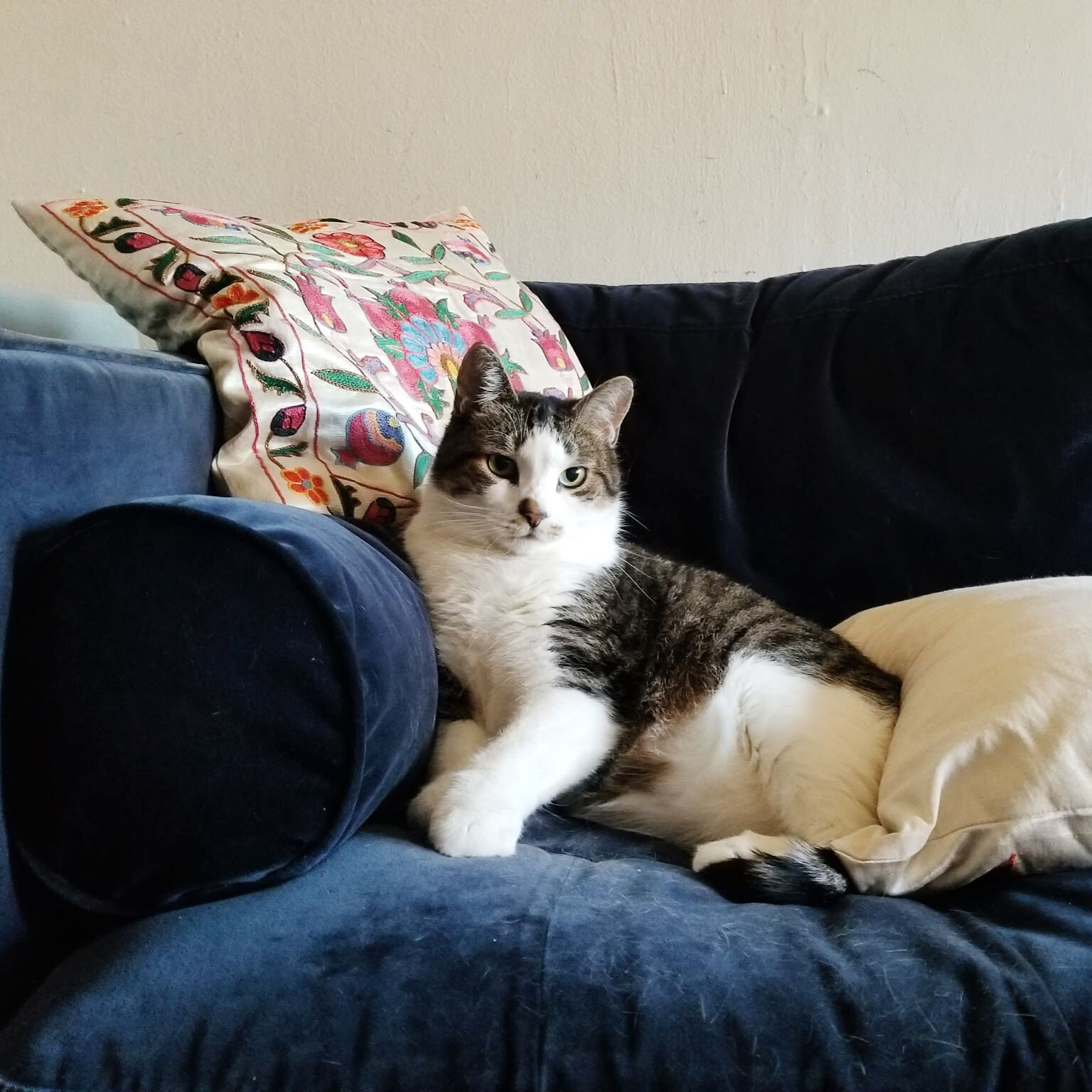 FAQ — Rothbyrns Creative