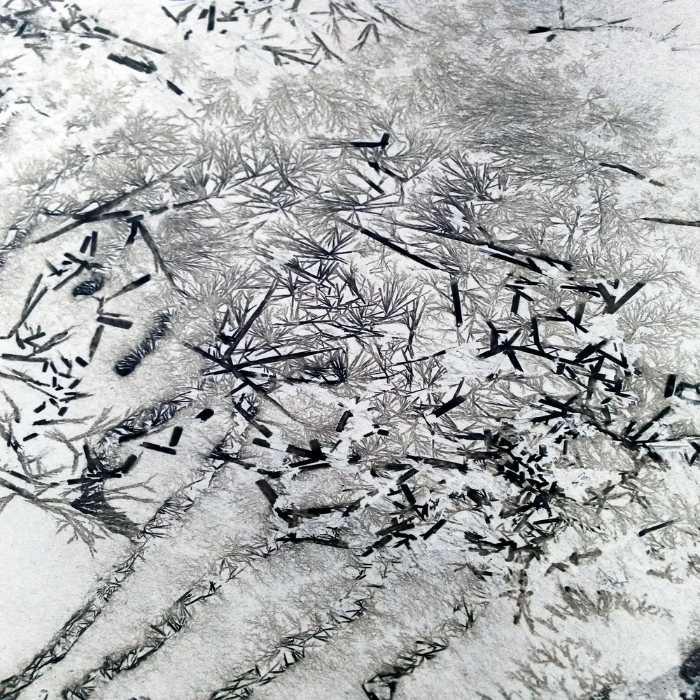 reflections in verse — Richard Bonk