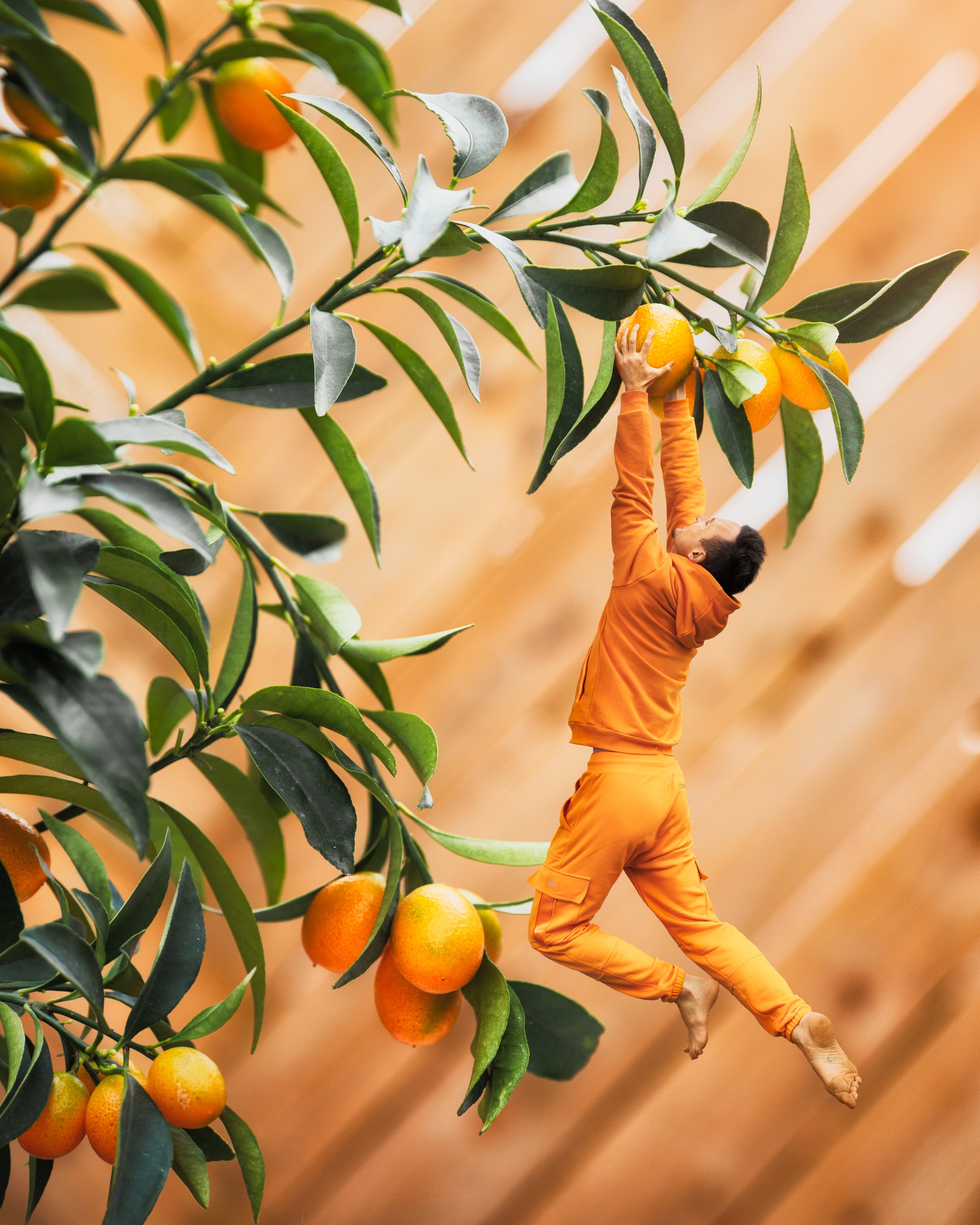 Photo Illustration — Kevin Hofer