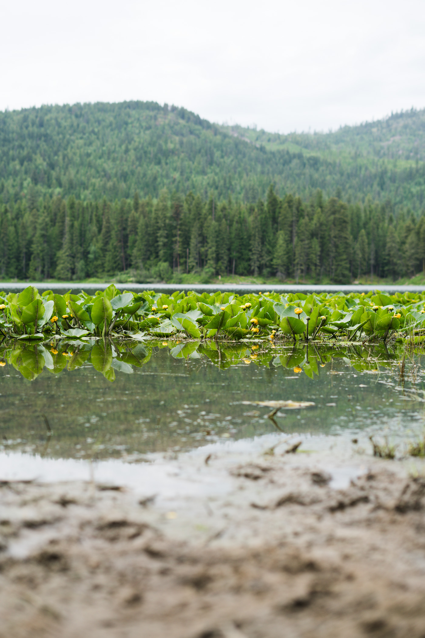 Camping at Round Lake State Park — Stuck in North Idaho