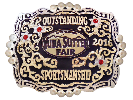 Trophy Buckles — Showtime Awards