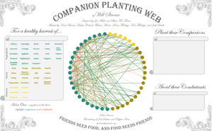 Creating your Public Portfolio — The Tableau Student Guide