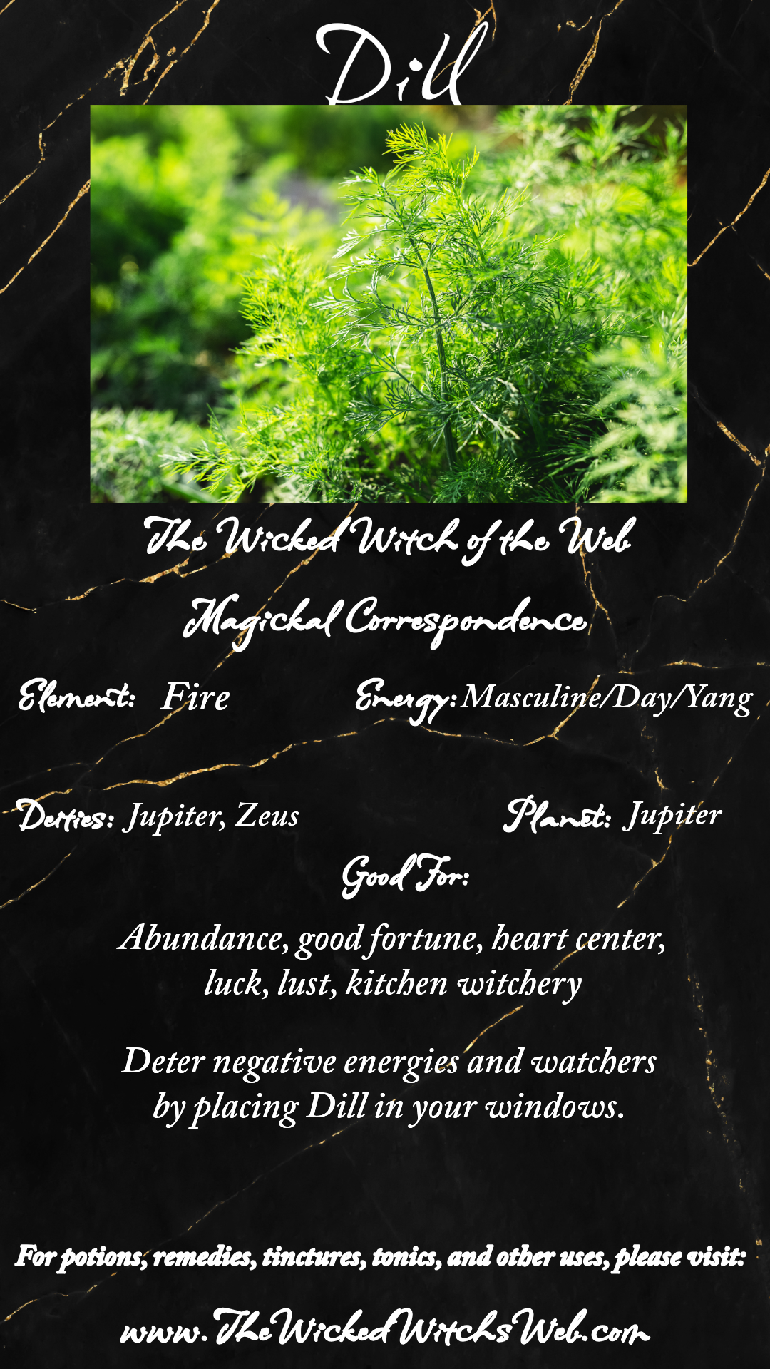 Dill Herb Magickal Correspondences - Virtual Greencraft Grimoire — The ...