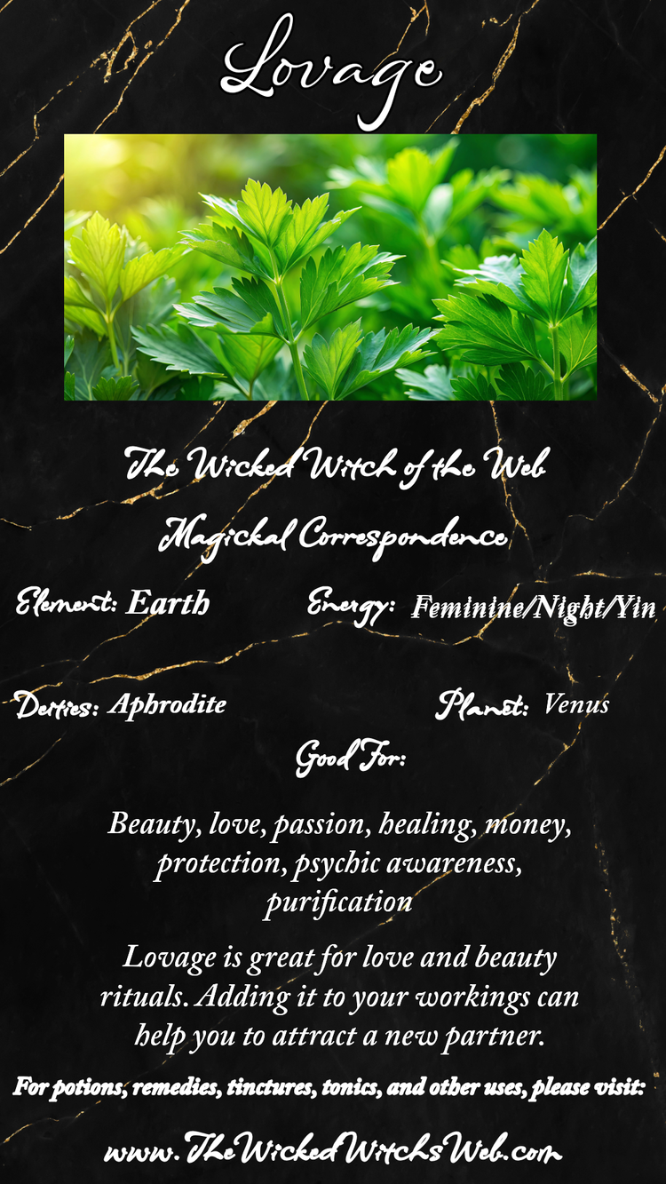 Lovage Herb Magickal Correspondences - Virtual Greencraft Grimoire ...