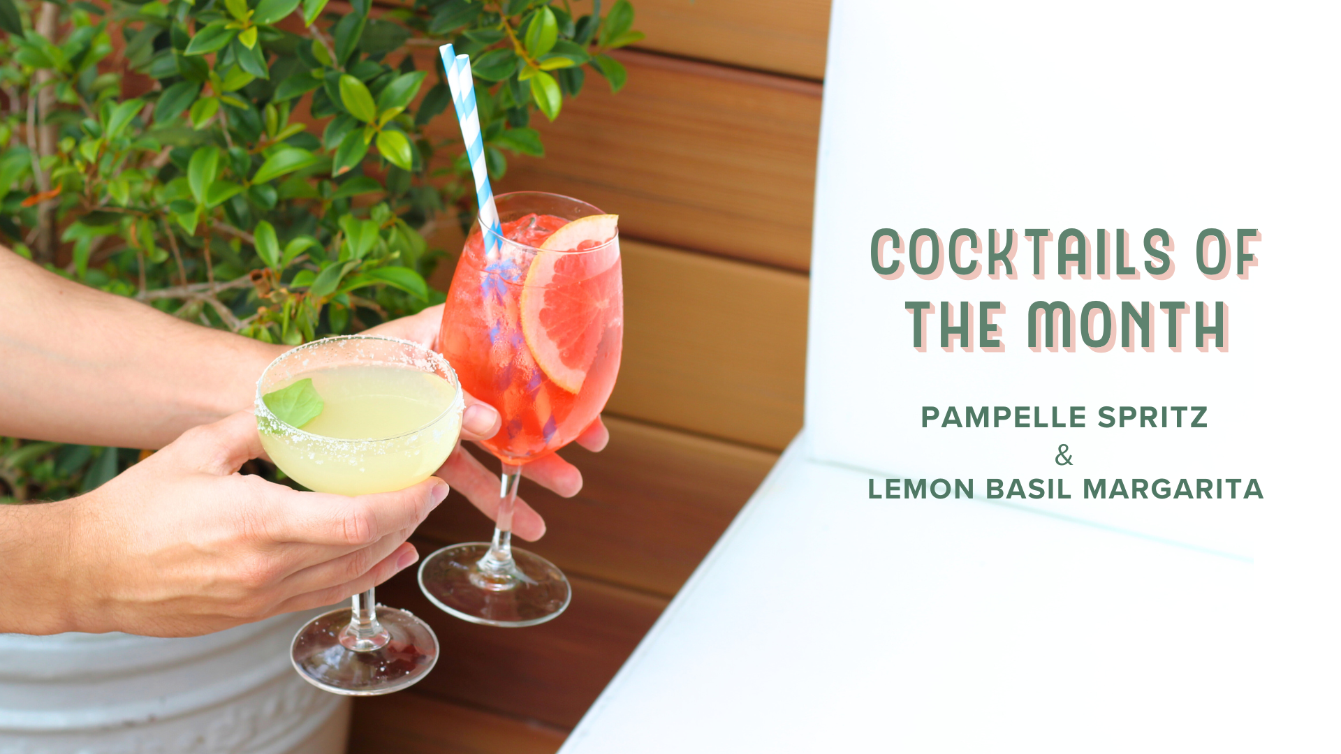 Cocktails of the Month — The Robina Pavilion