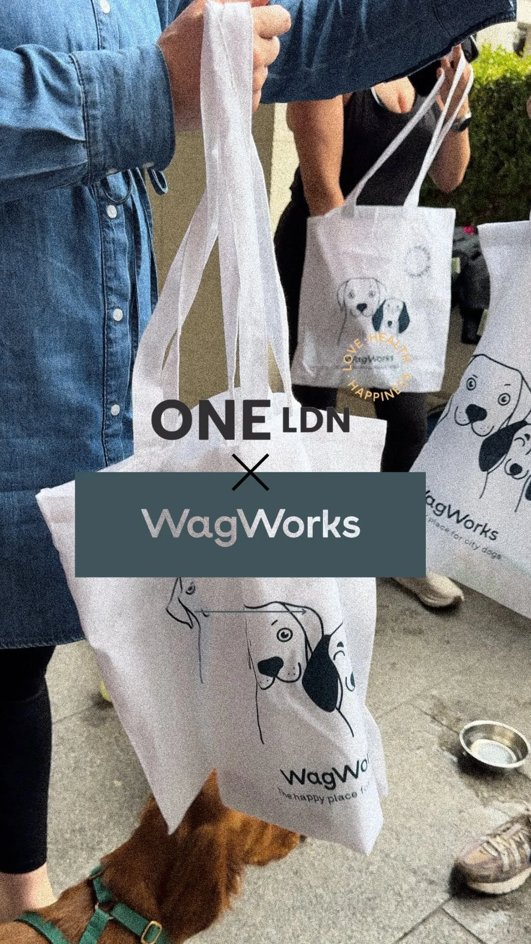 ONE LDN | Boutique Gym & Fitness Space | Fulham