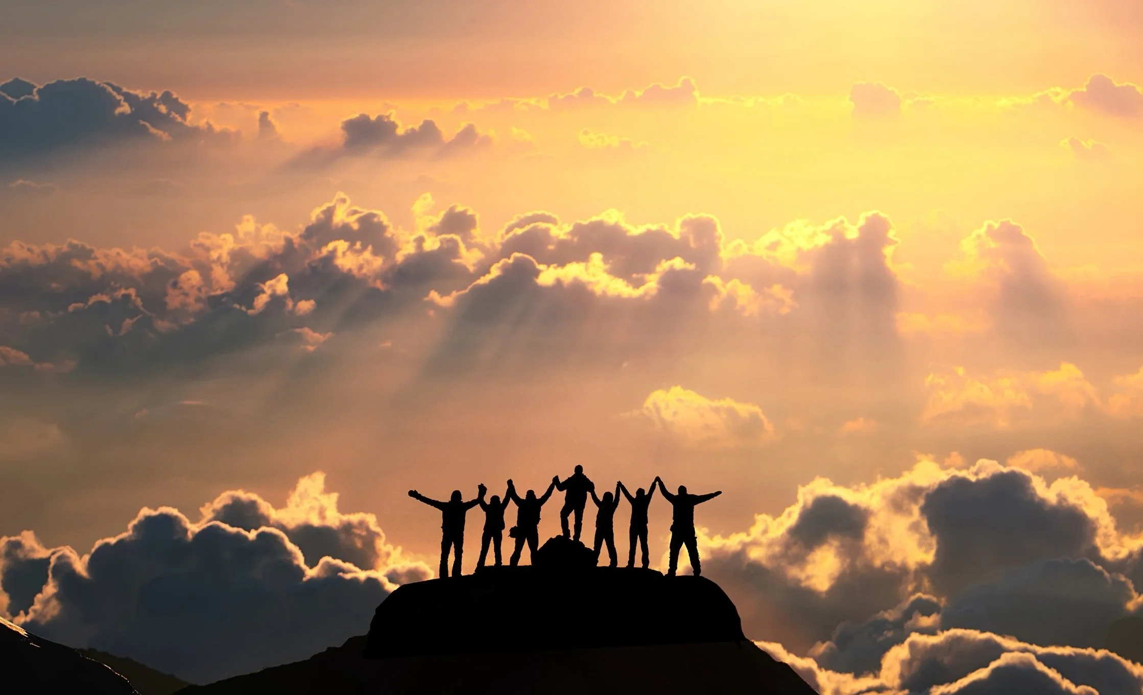 Mission and Values | Rockwood Company