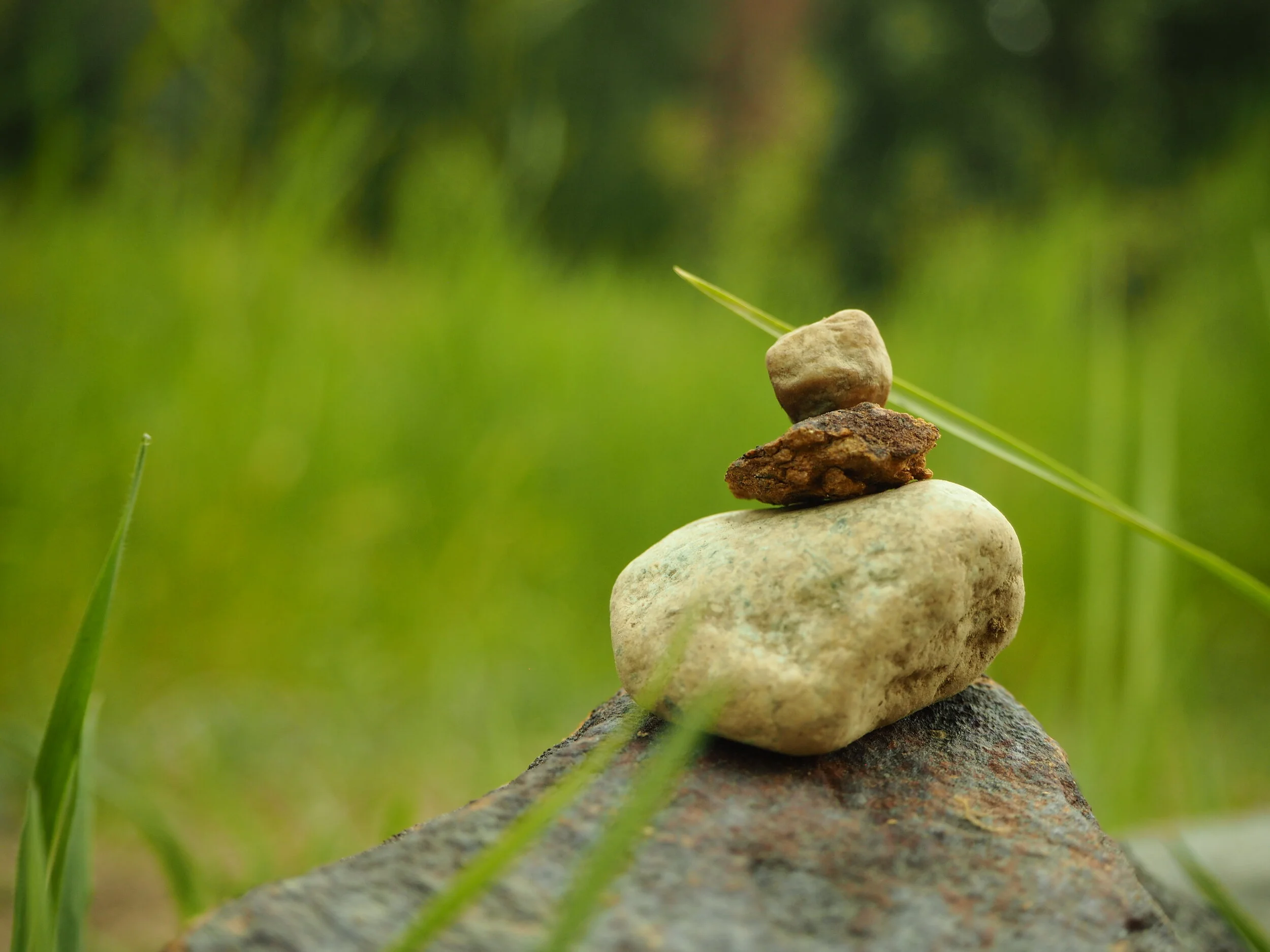 Falling Short of God's Purpose — Irish Network for Public Theology