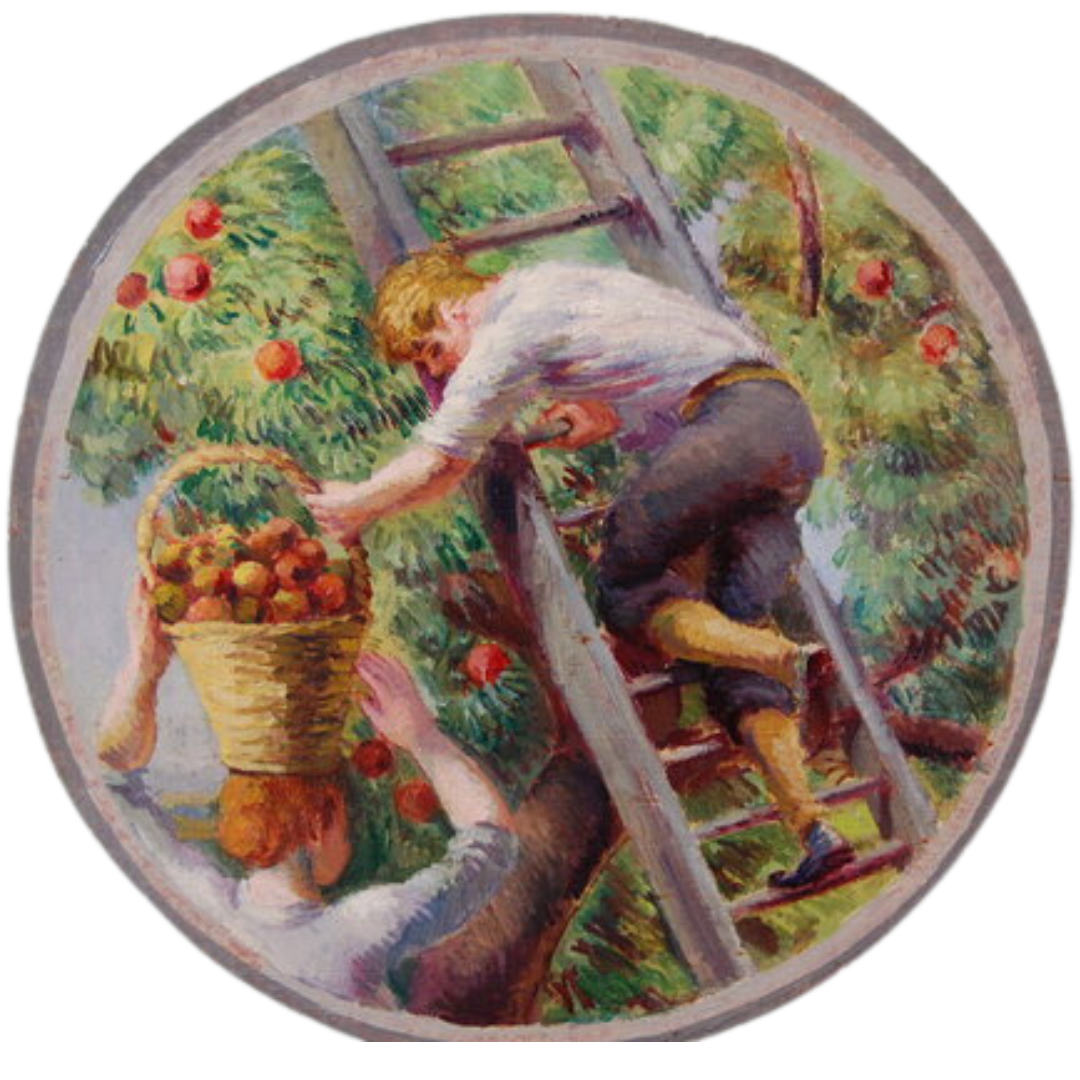 April Tree of the Month: Crab Apple — Dartmoor Tree Surgeons Ltd