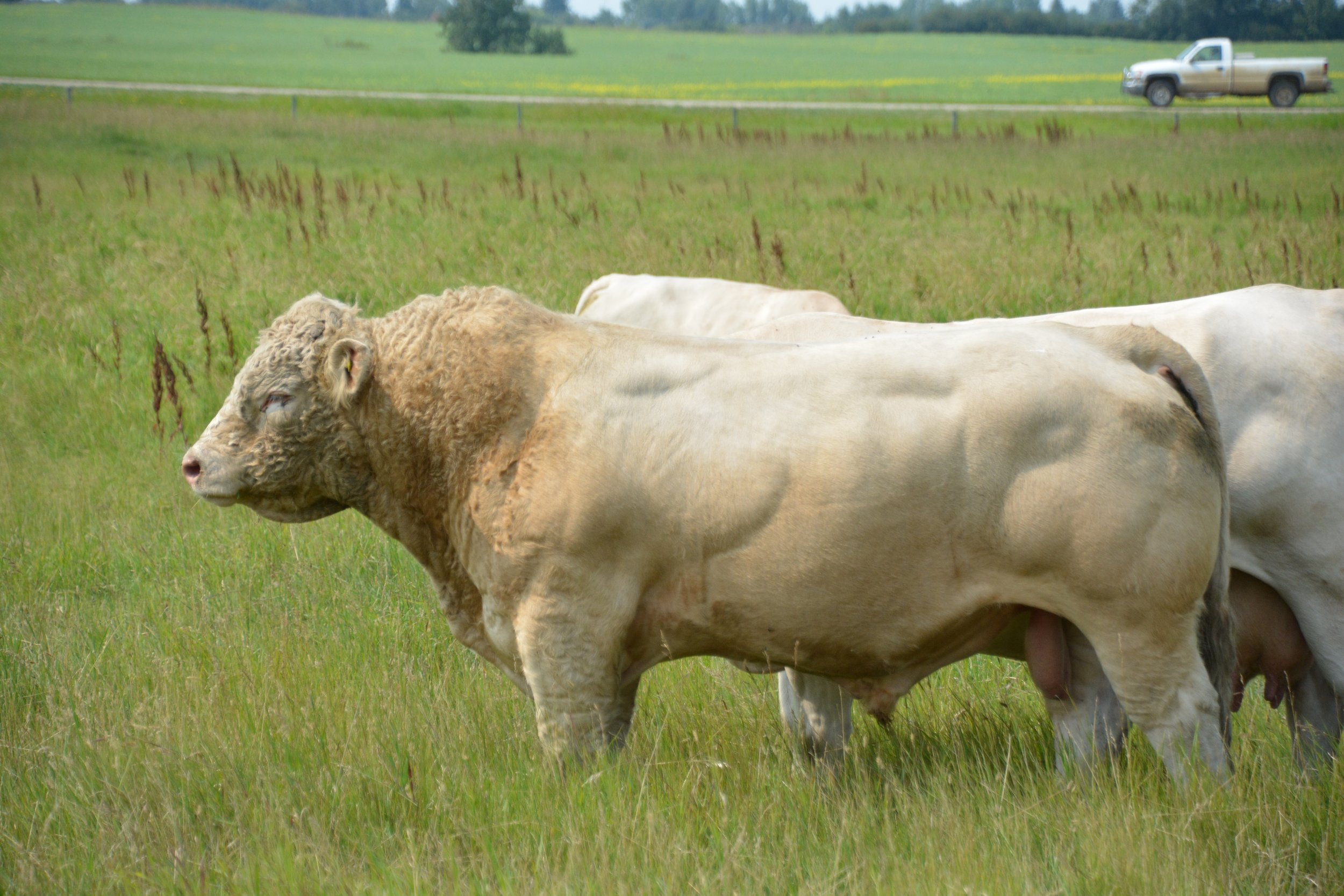 Photo Gallery — Rawes Ranches