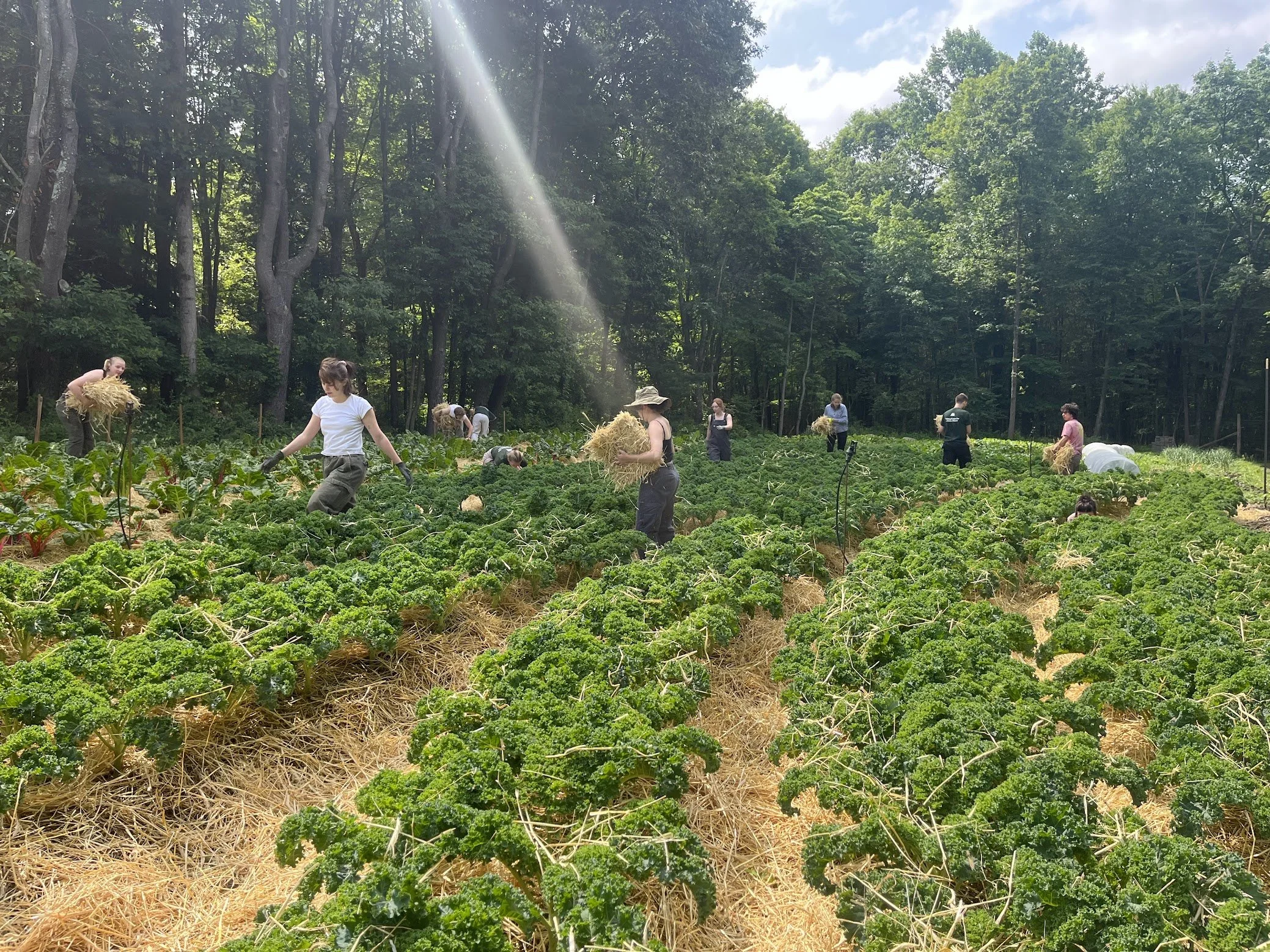 Educational Services | Learn, Grow, Inspire Today — MEVO