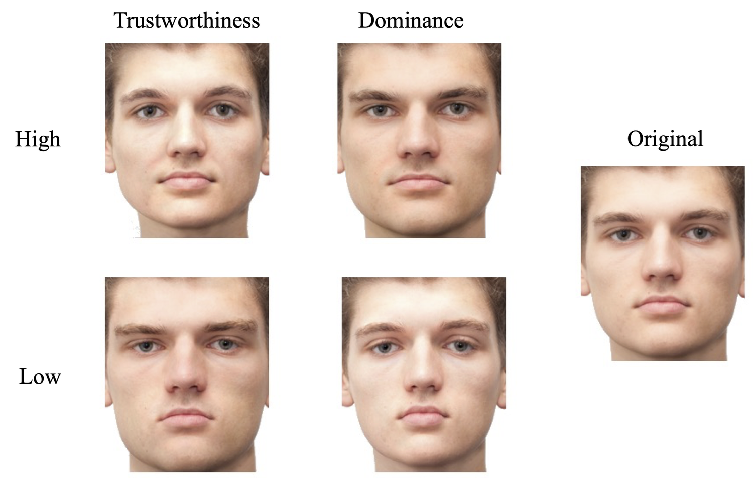 Research — Social Cognitive & Neural Sciences Lab
