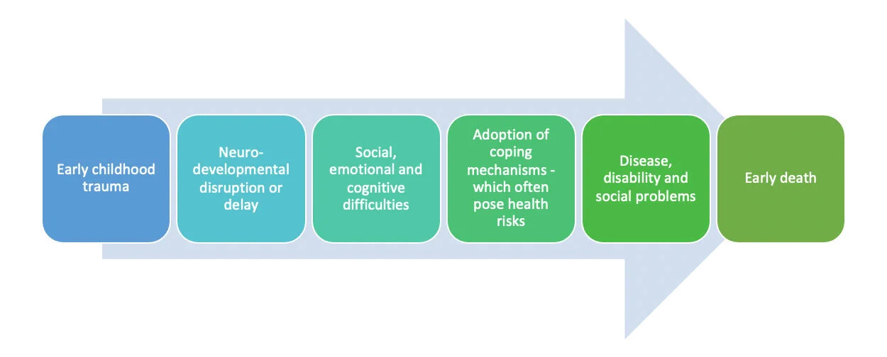 About Trauma — DIGNIFI - Trauma Informed Practice