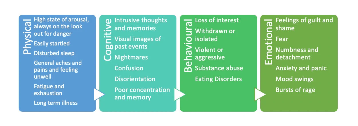 About Trauma — DIGNIFI - Trauma Informed Practice