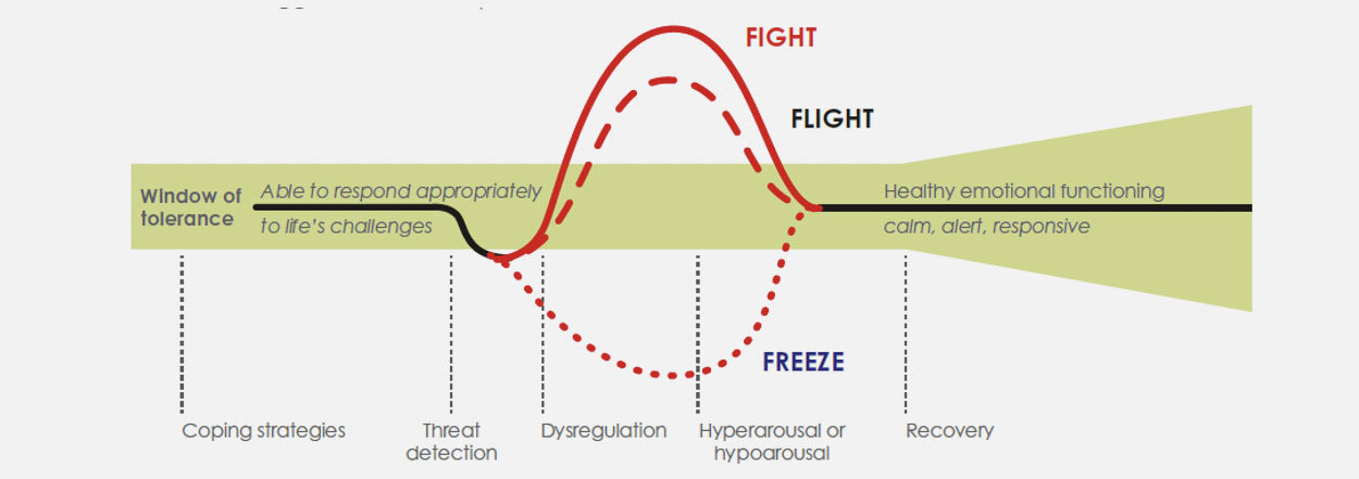 About Trauma — DIGNIFI - Trauma Informed Practice