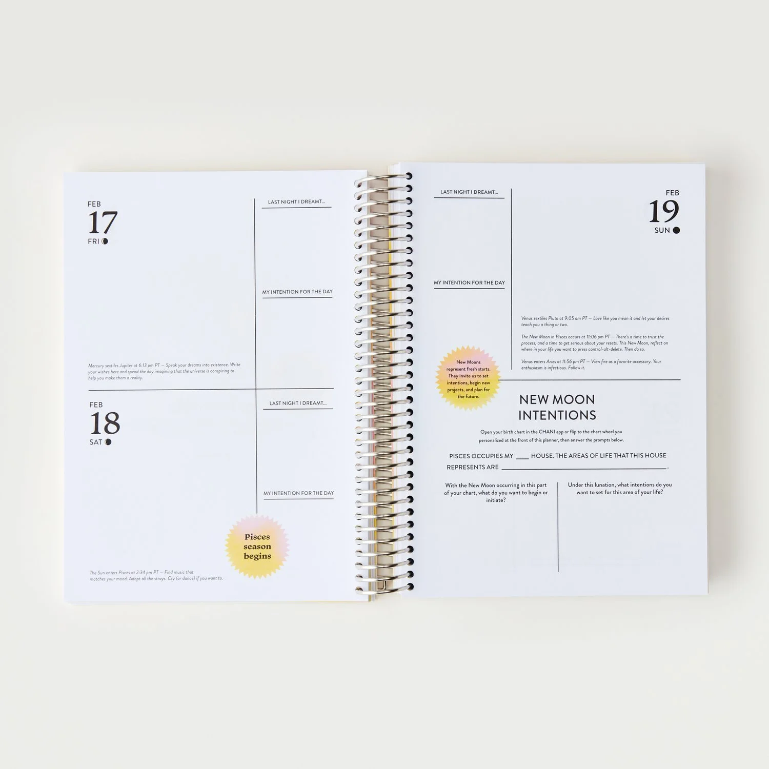 The 2023 Astro Planner — CHANI — Ramisha Sattar