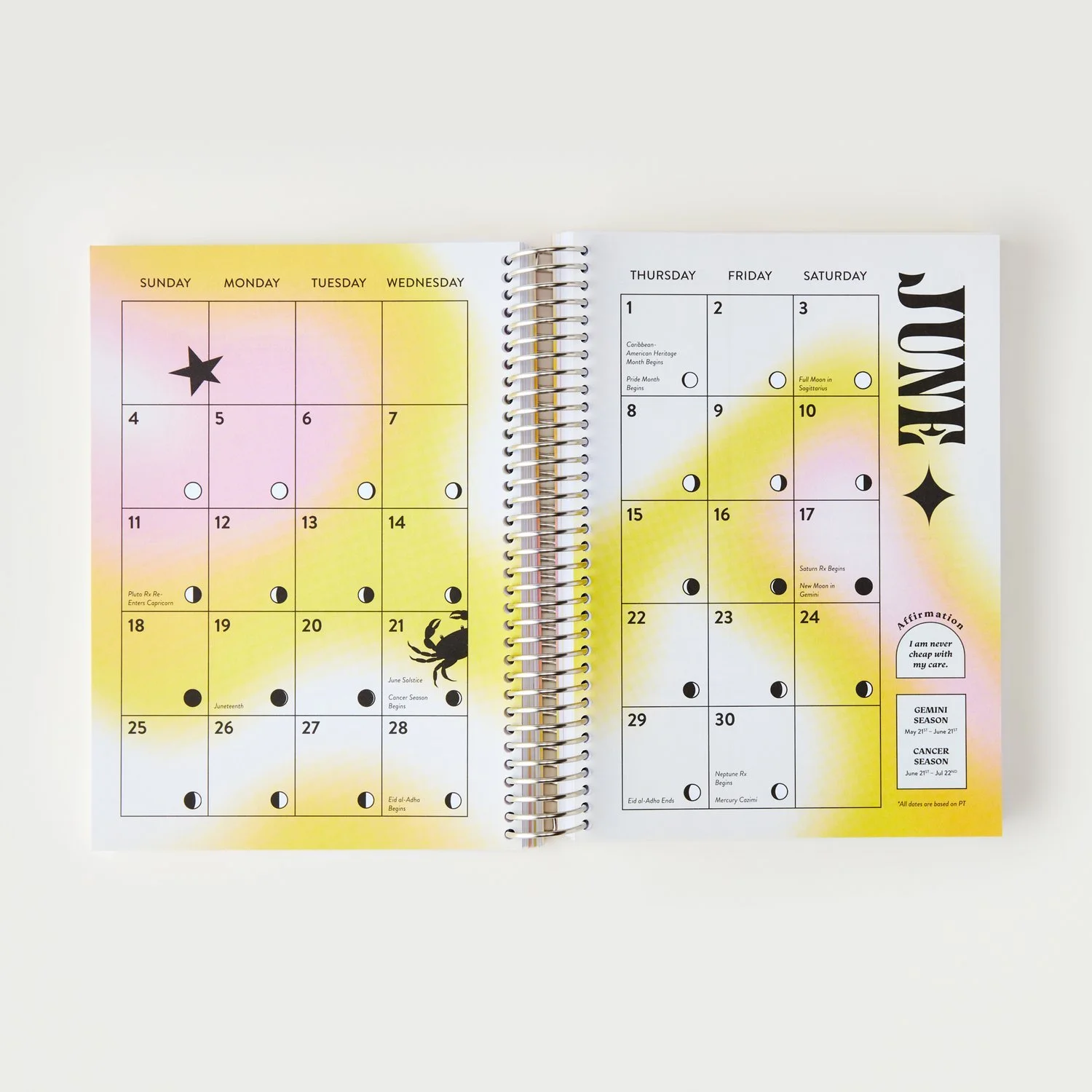The 2023 Astro Planner — CHANI — Ramisha Sattar