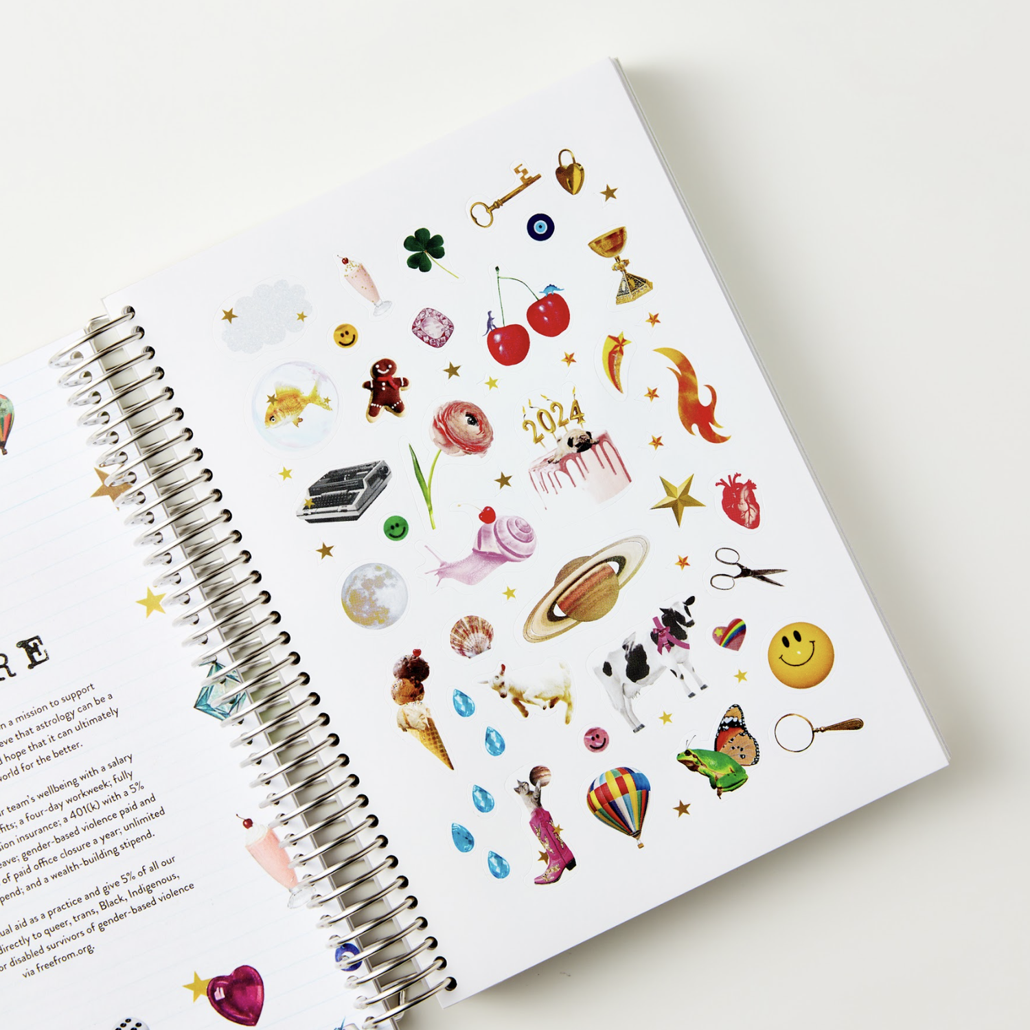 The 2024 Astro Planner — CHANI — Ramisha Sattar