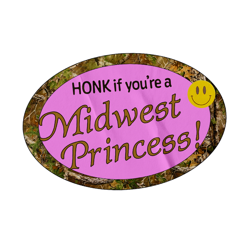 Bumper Stickers — Chappell Roan — Ramisha Sattar