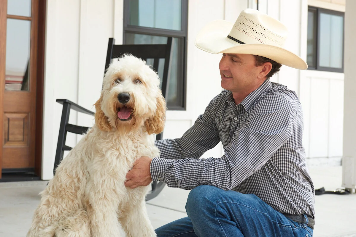 Poodles and Doodles Gallery — Broadway Poodles & Doodles