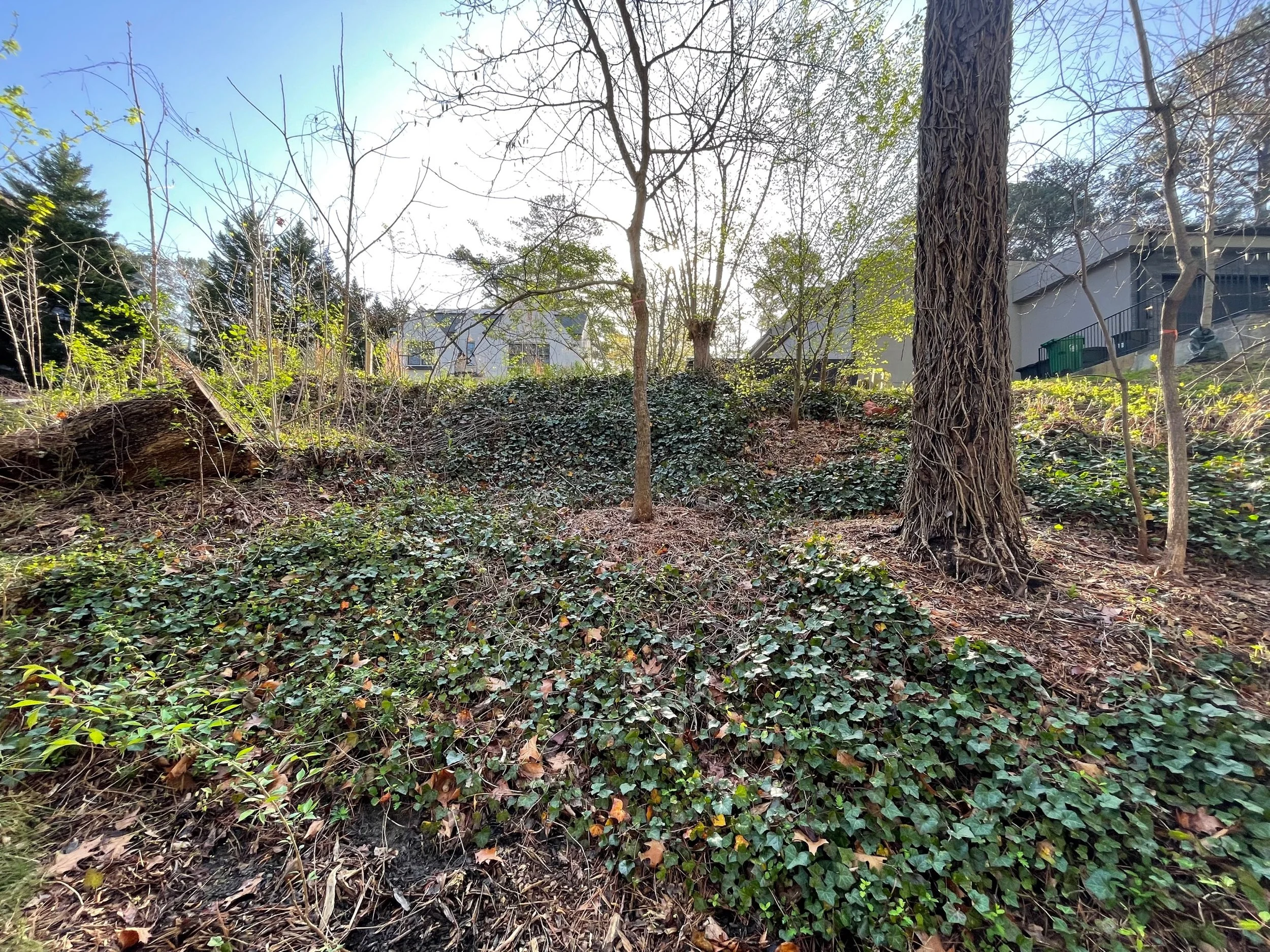 Before & Afters — EcoLogic