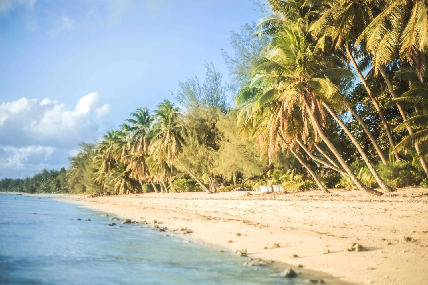 Paradise in the Cook Islands — Rarotonga Backpackers | Beachfront ...