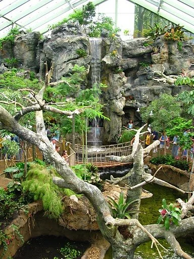 Gallery 2 — Manning Squires Hennig