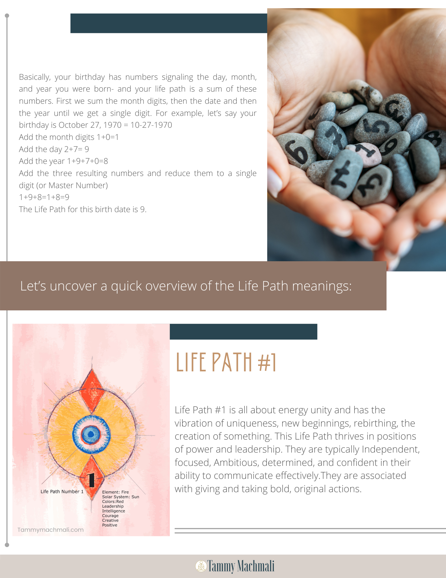 What Is The Significance Of Your Life Path Number In Numerology Tammy Machmali what-is-the-significance-of-your-life-path-number-in-numerology-tammy-machmali