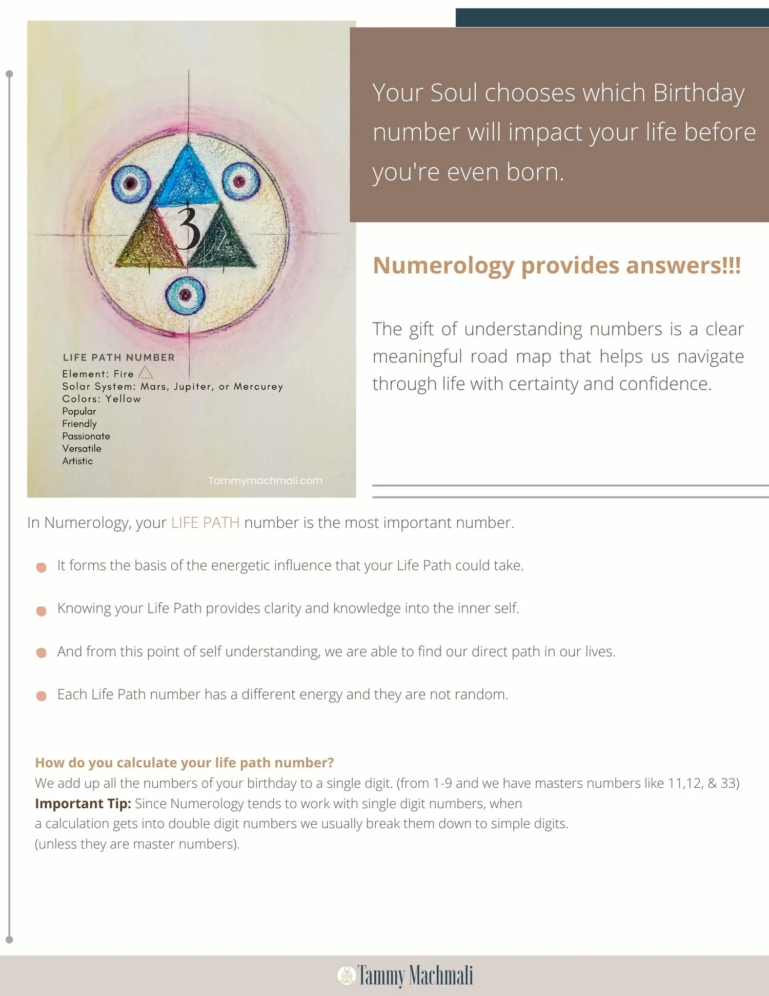 What Is The Significance Of Your Life Path Number In Numerology ...