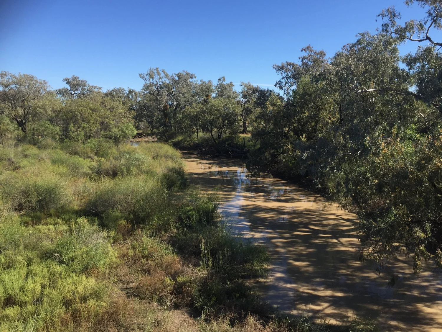 Murrawarri Rainmakers — Moogahlin Performing Arts