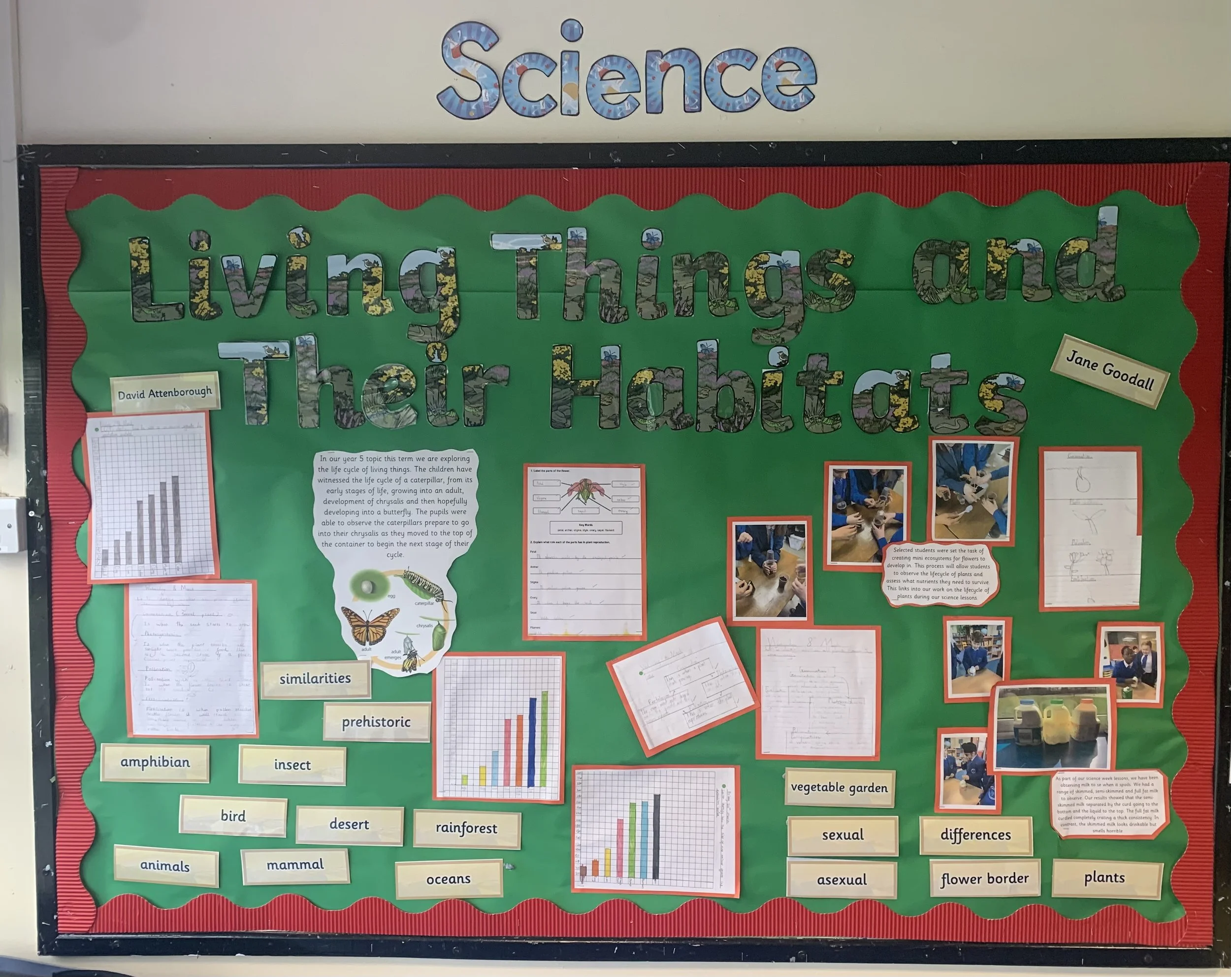 Science — Lodge Farm Primary School, Willenhall