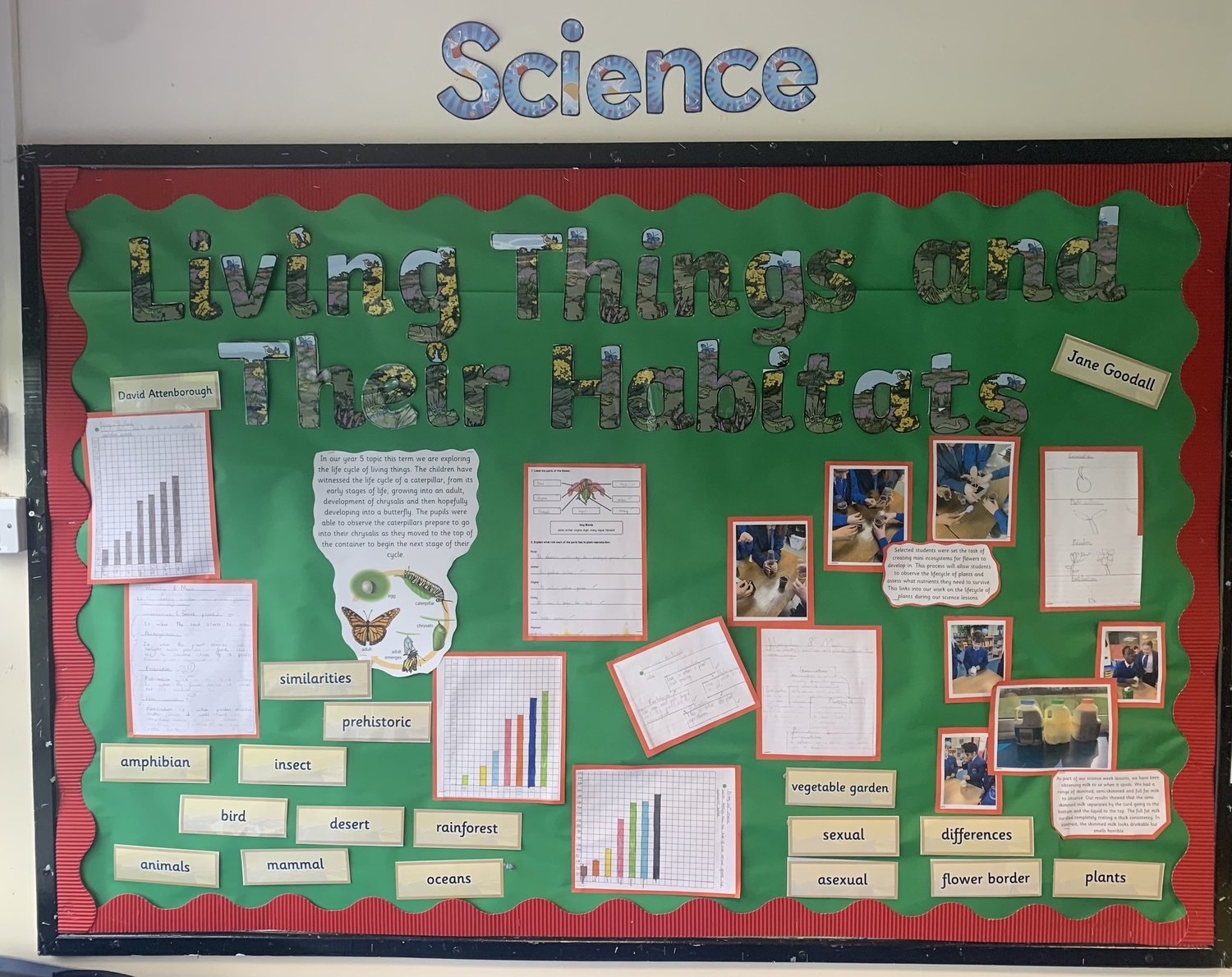 Science — Lodge Farm Primary School, Willenhall