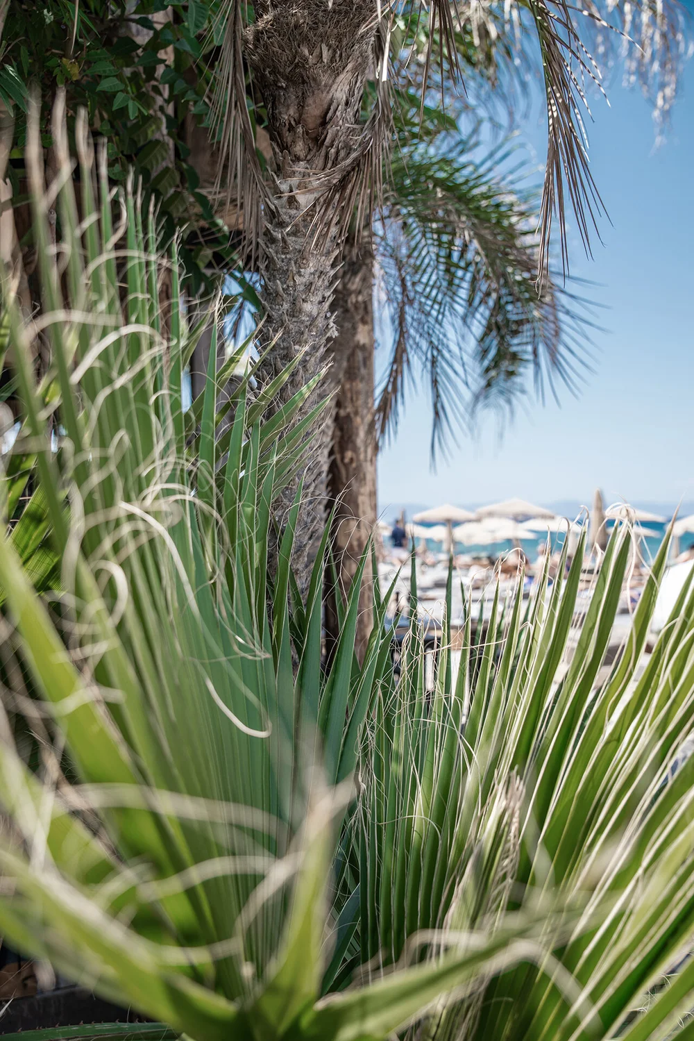Ronda Beach — www.vanapernari.com