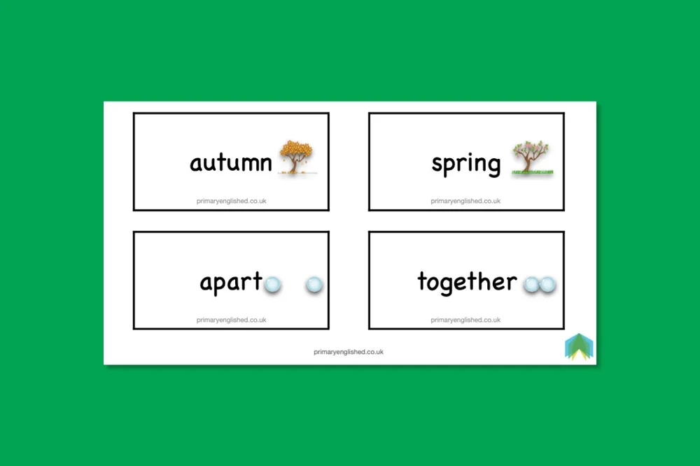 Compound Conundrum Word Quizzes — Primary English Education Consultancy