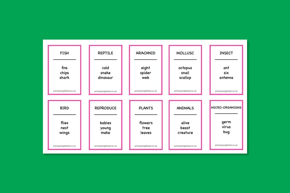 Taboo — Primary English Education Consultancy